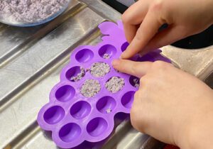 How to Make Seed Bombs with Paper for Sustainable Gardening